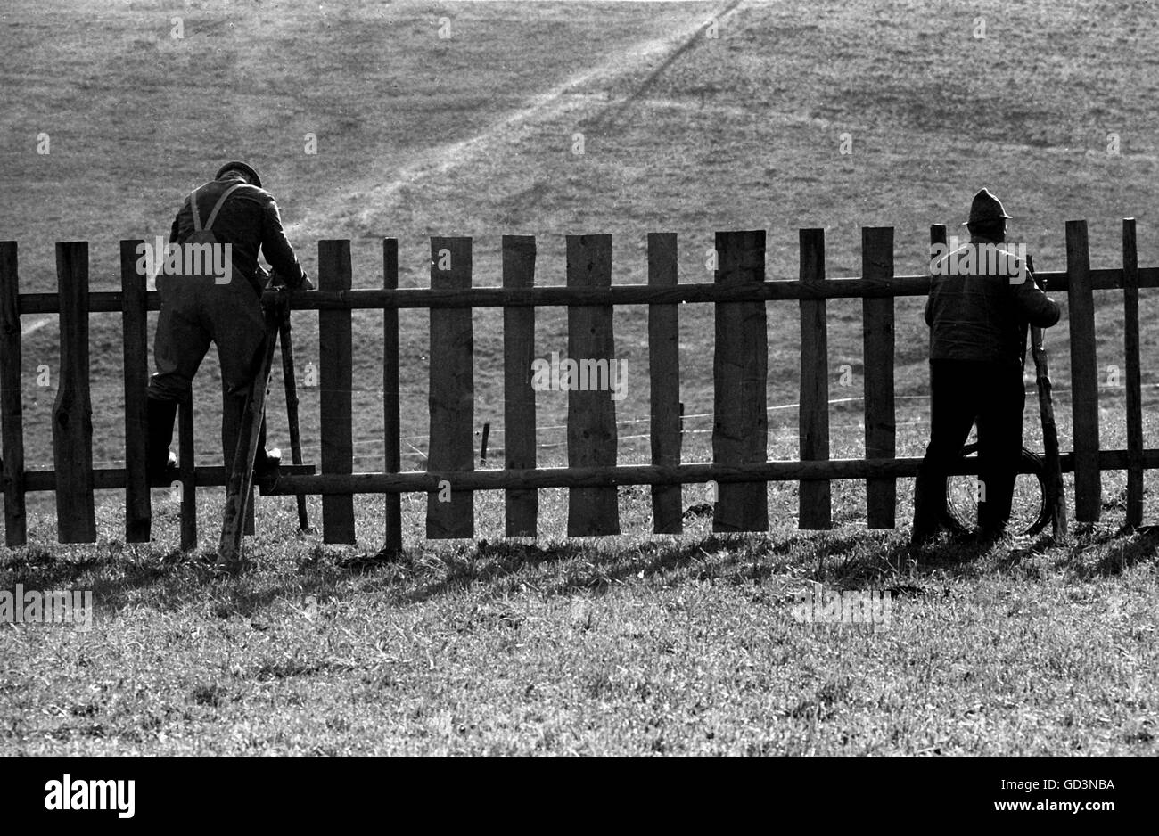 Men working on a fence Stock Photo - Alamy