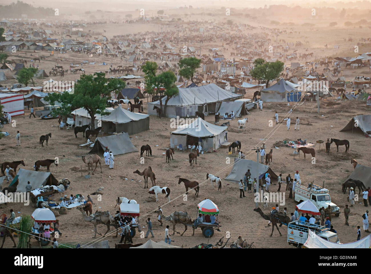 Aerial view of Pushkar fair Stock Photo - Alamy