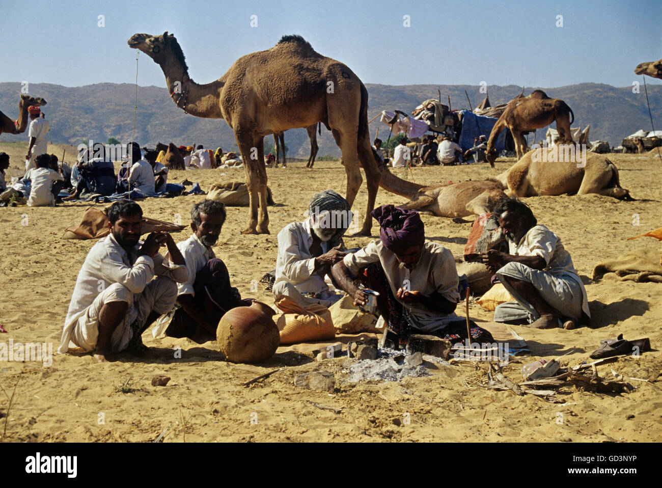 People at Pushkar fair Stock Photo - Alamy