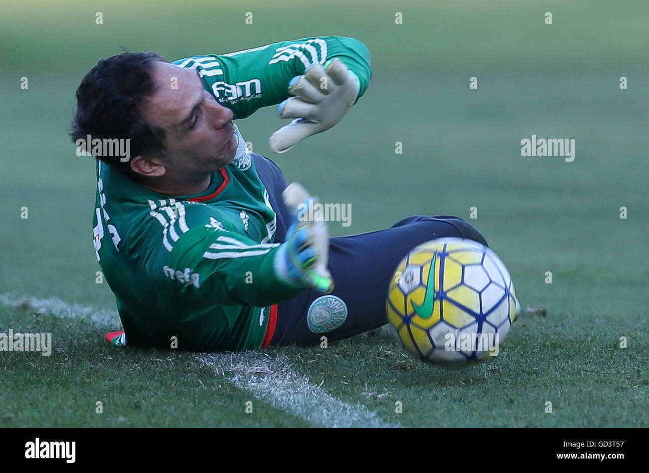 Sao Paulo, Brazil. 11th July, 2016. The goalkeeper Fernando Prass, SE ...