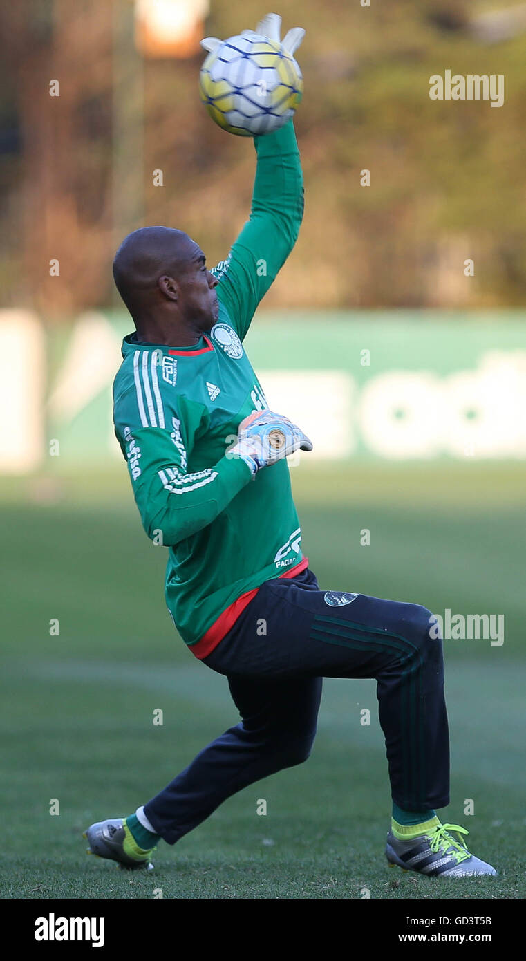 Sao Paulo, Brazil. 11th July, 2016. Goalkeeper Jailson, SE Palmeiras ...