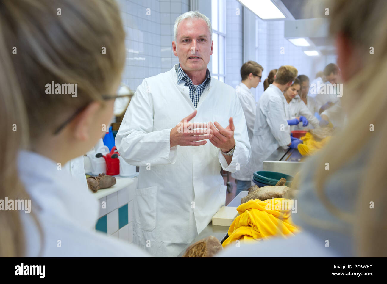 Dissection hall hi-res stock photography and images - Alamy