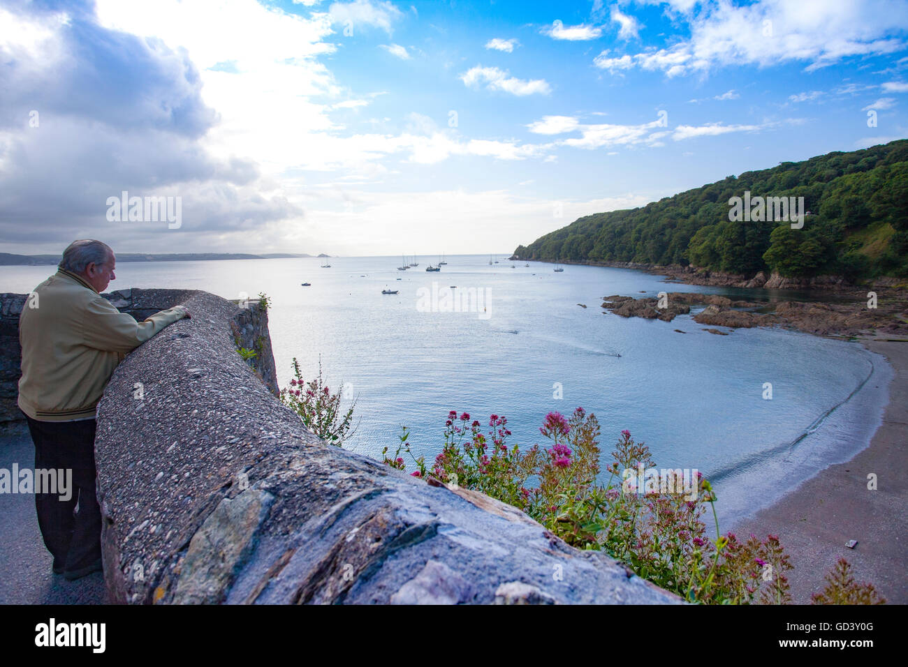 A man enjoying the view overlooking Cawsand beach and bay, Cornwall, UK ...