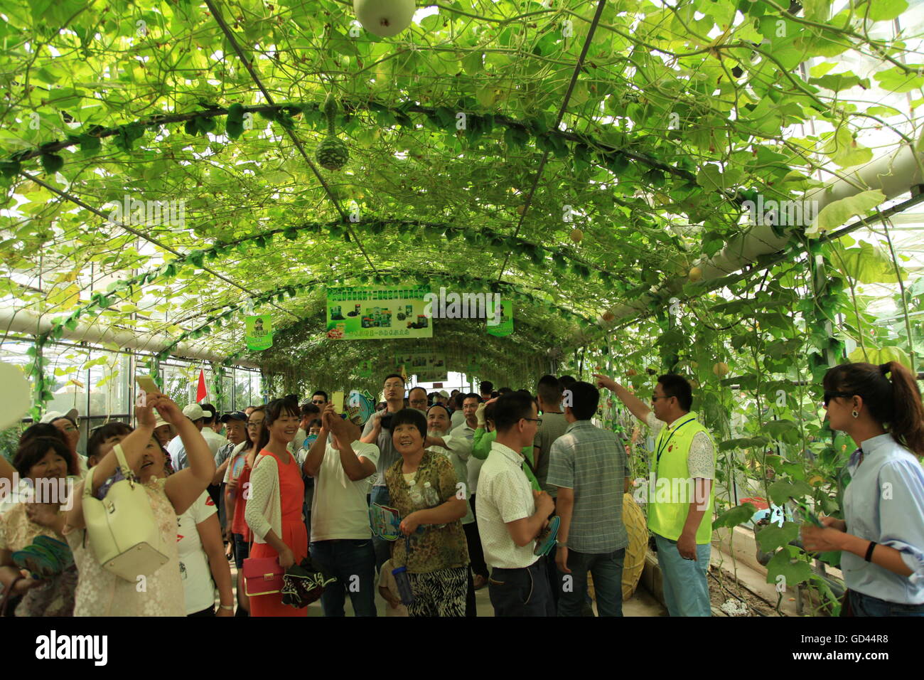 Hami, Hami, CHN. 9th July, 2016. Hami, China - July 9 2016: (EDITORIAL ...