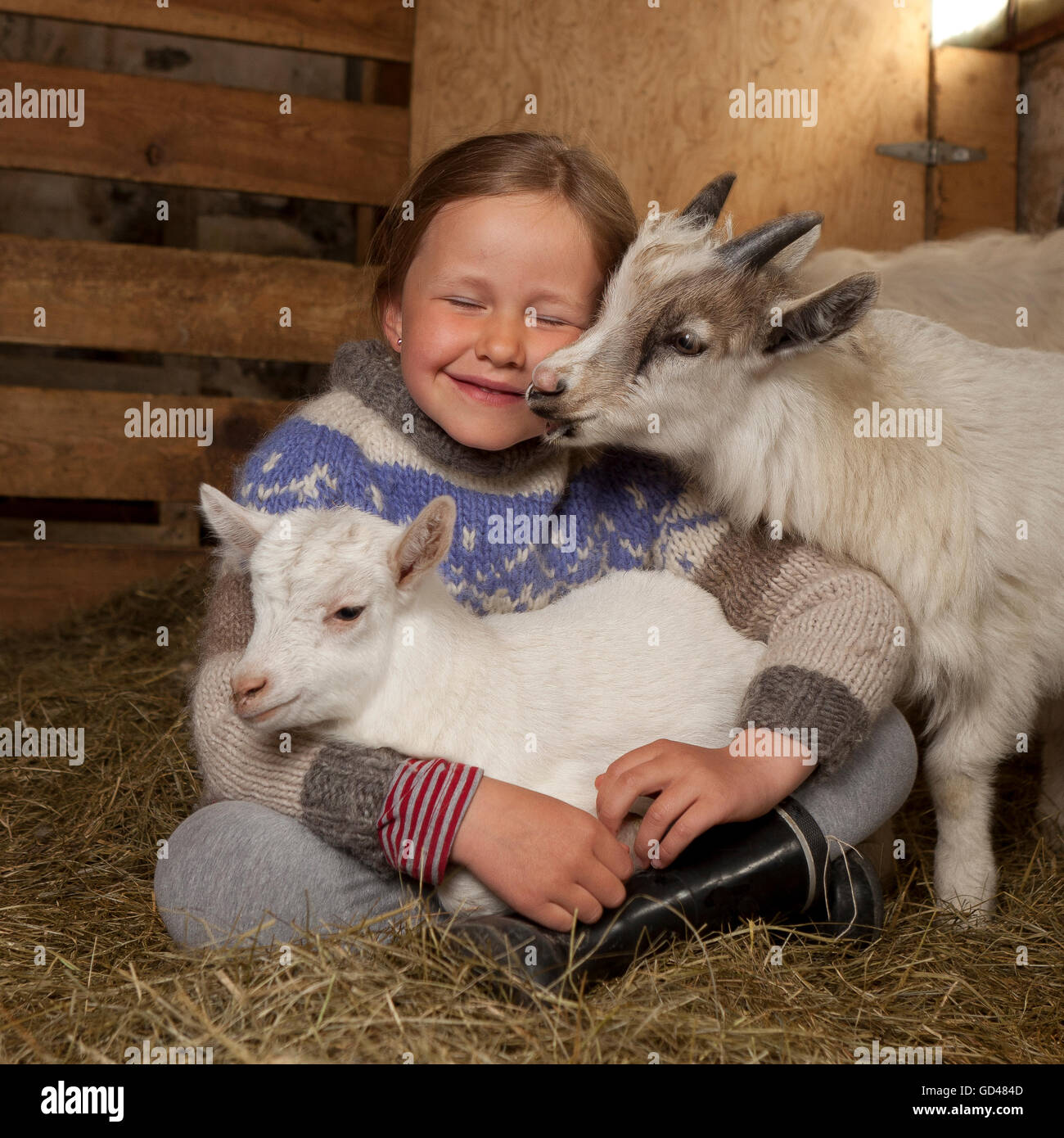 Children with goat hi-res stock photography and images - Alamy