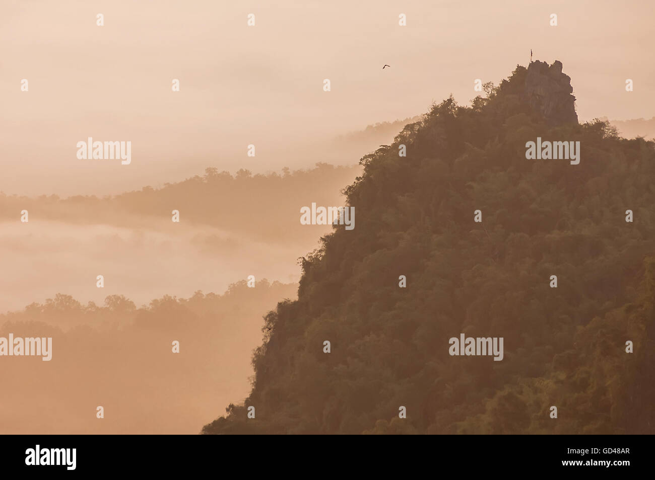 Doi pha chu hi-res stock photography and images - Alamy