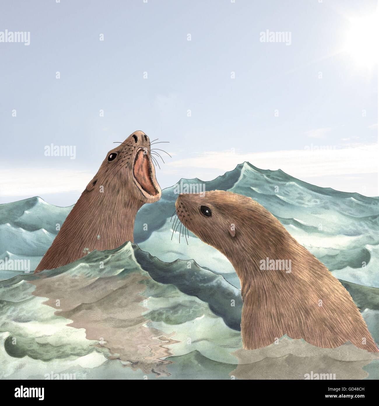 Two seals illustration hi-res stock photography and images - Alamy