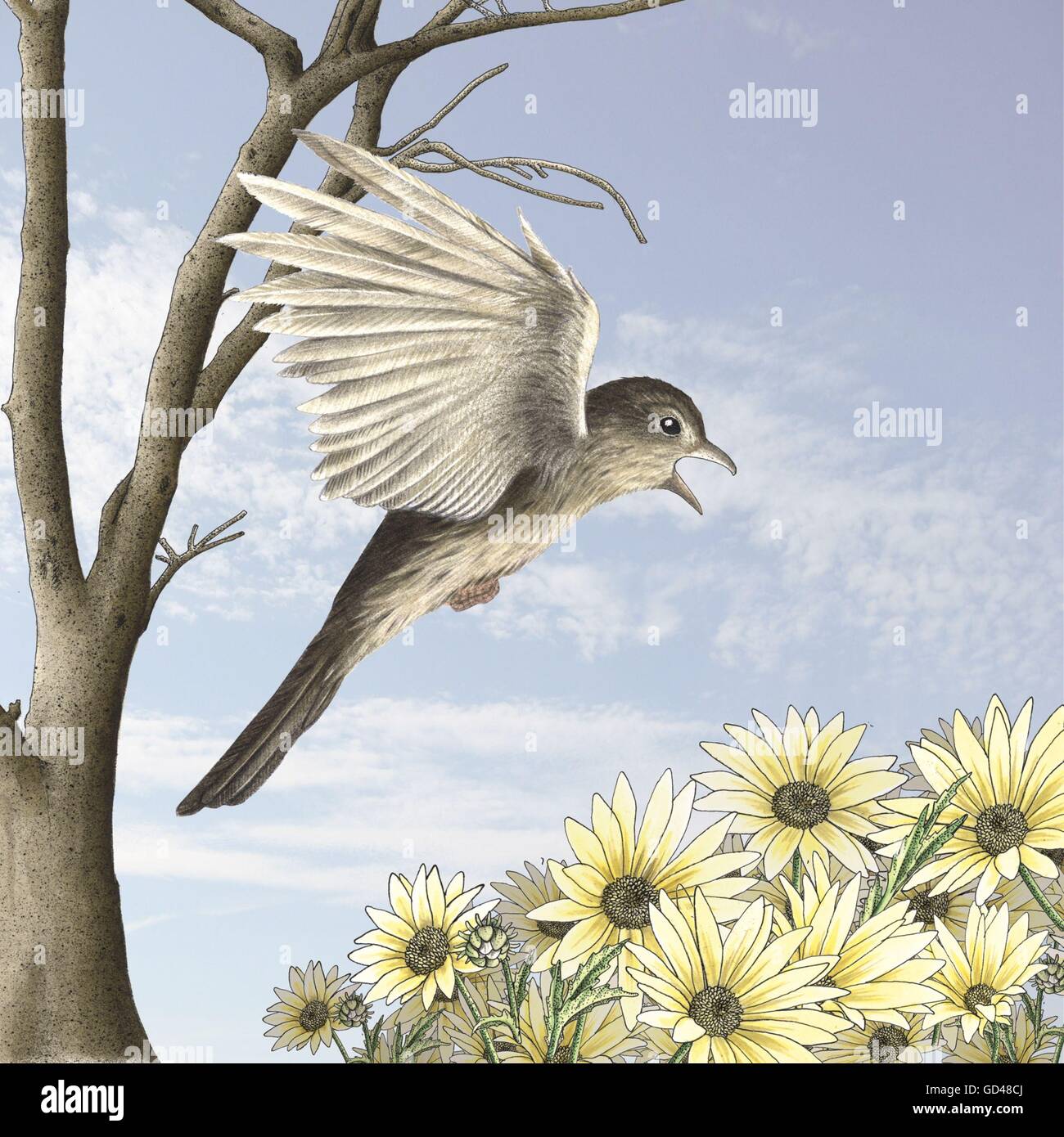 Flowers bird hi-res stock photography and images - Alamy