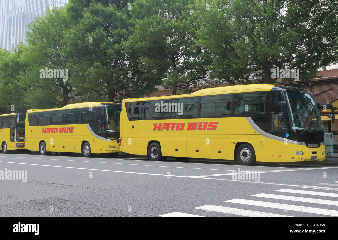 Tourist Hato bus in Tokyo. Hato bus operates tours and sightseeing ...
