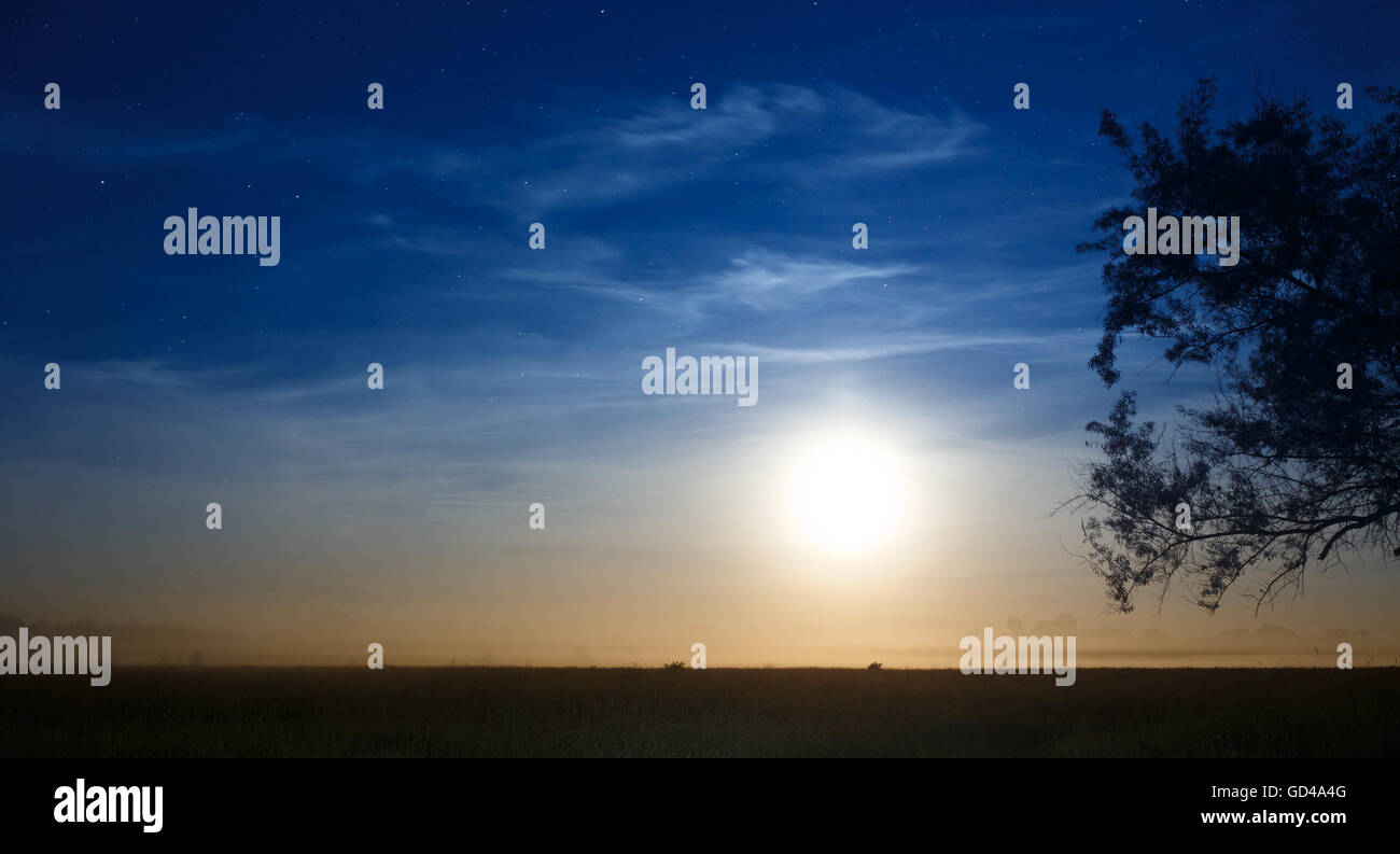 Blue field of white stars hi-res stock photography and images - Alamy