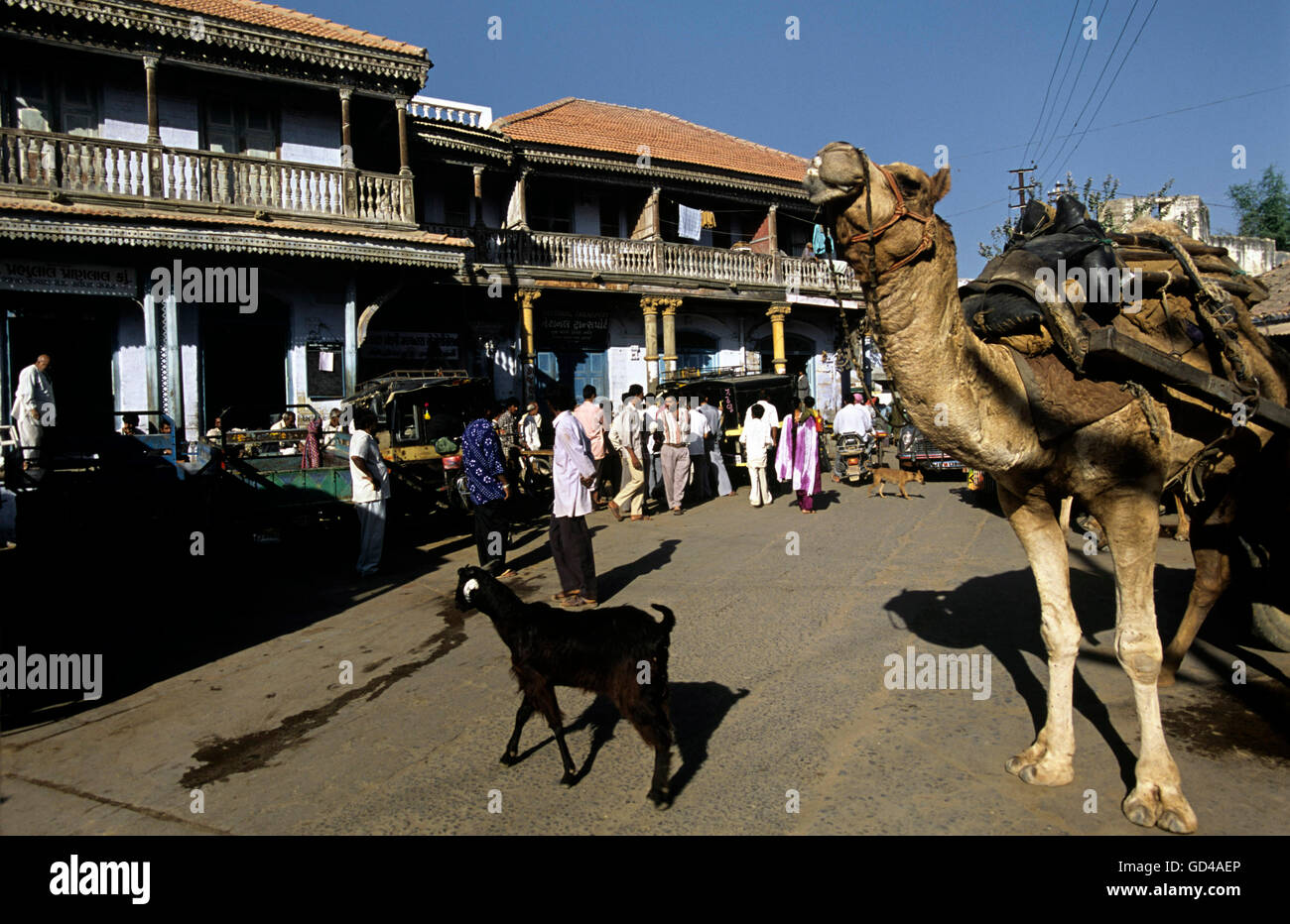 Mandvi town hi-res stock photography and images - Alamy