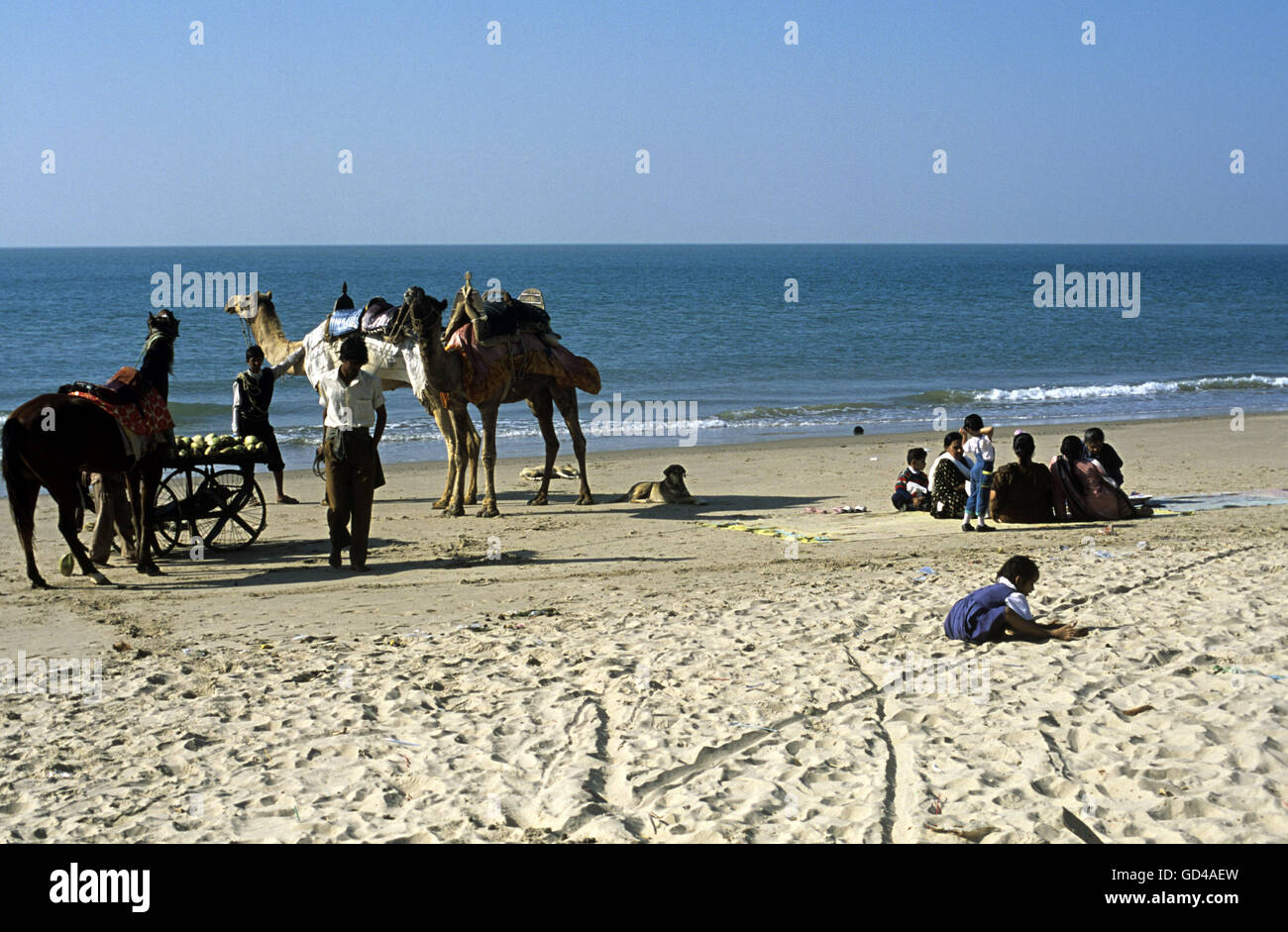 Mandvi beach hi-res stock photography and images - Alamy