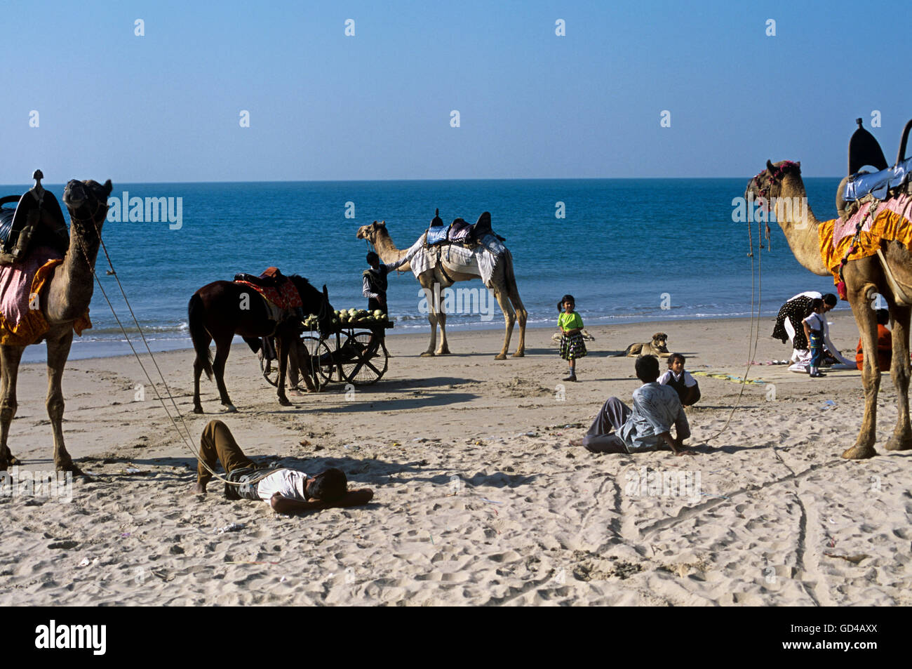 Mandvi beach hi-res stock photography and images - Alamy