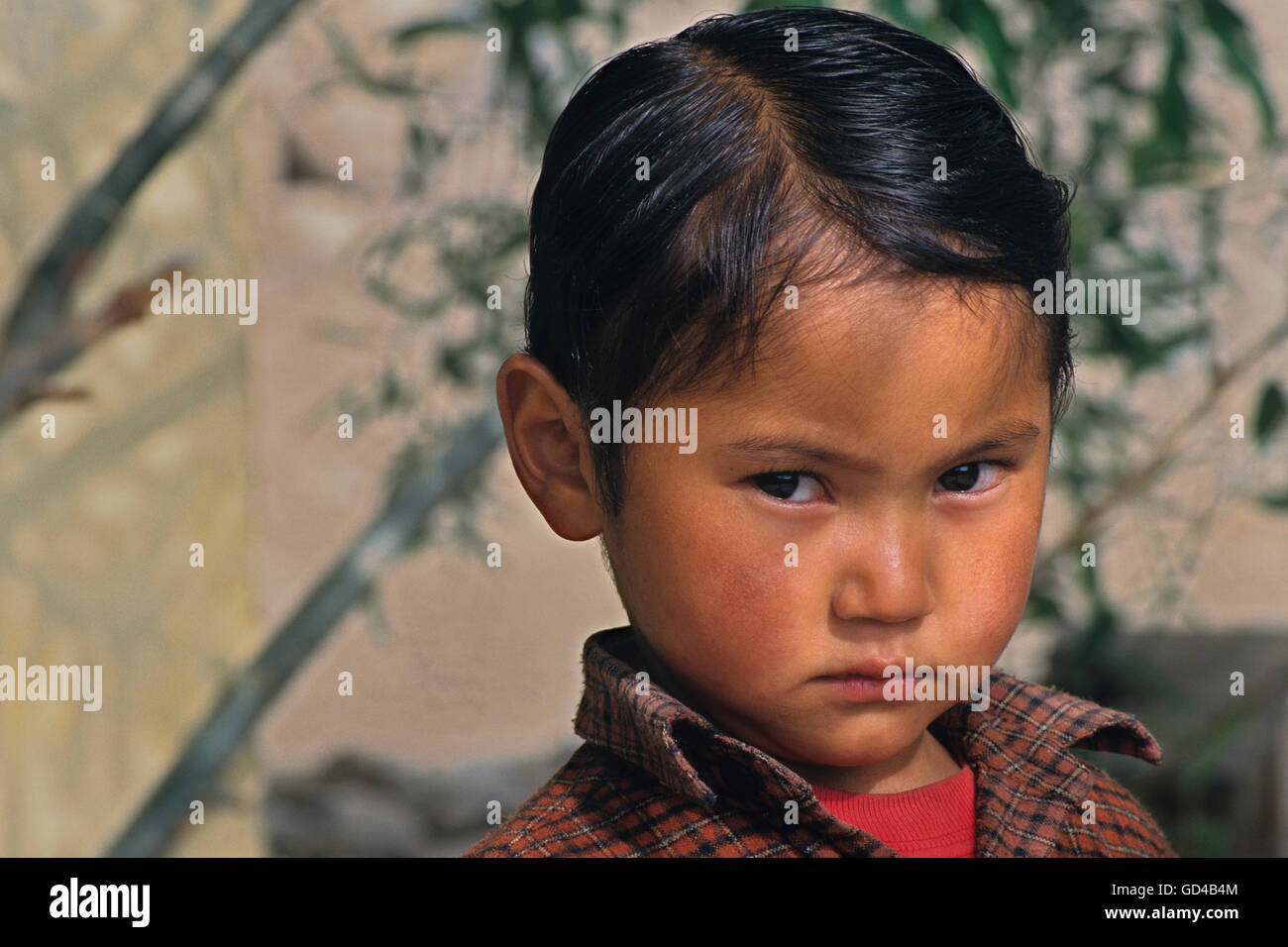 Portrait of a boy Stock Photo - Alamy