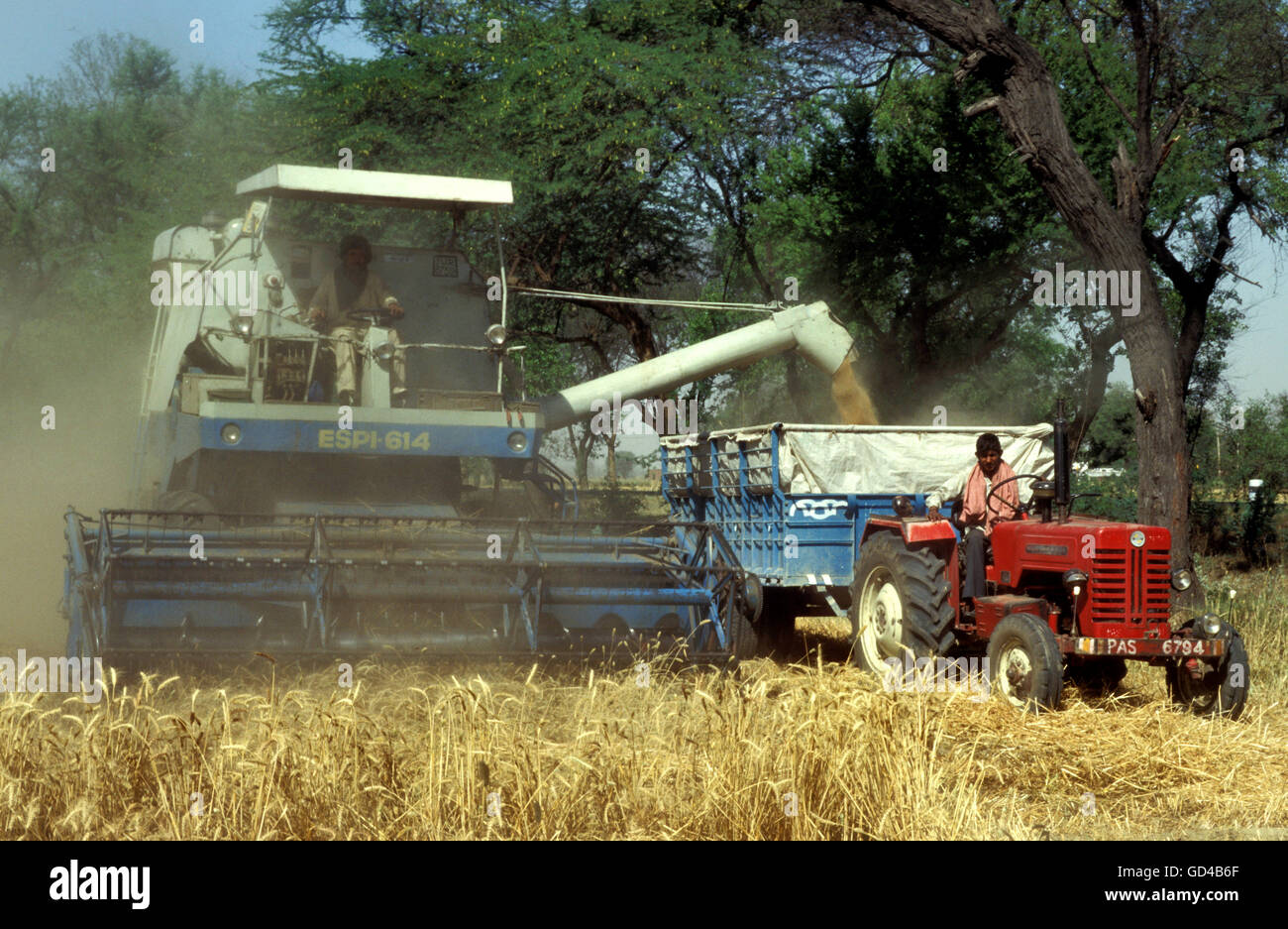 Harvester at work Stock Photo - Alamy