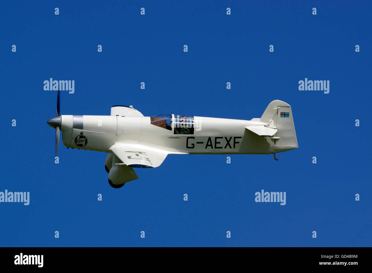 Percival Mew Gull at Old Warden, Shuttleworth Collection G-AEXF Stock ...