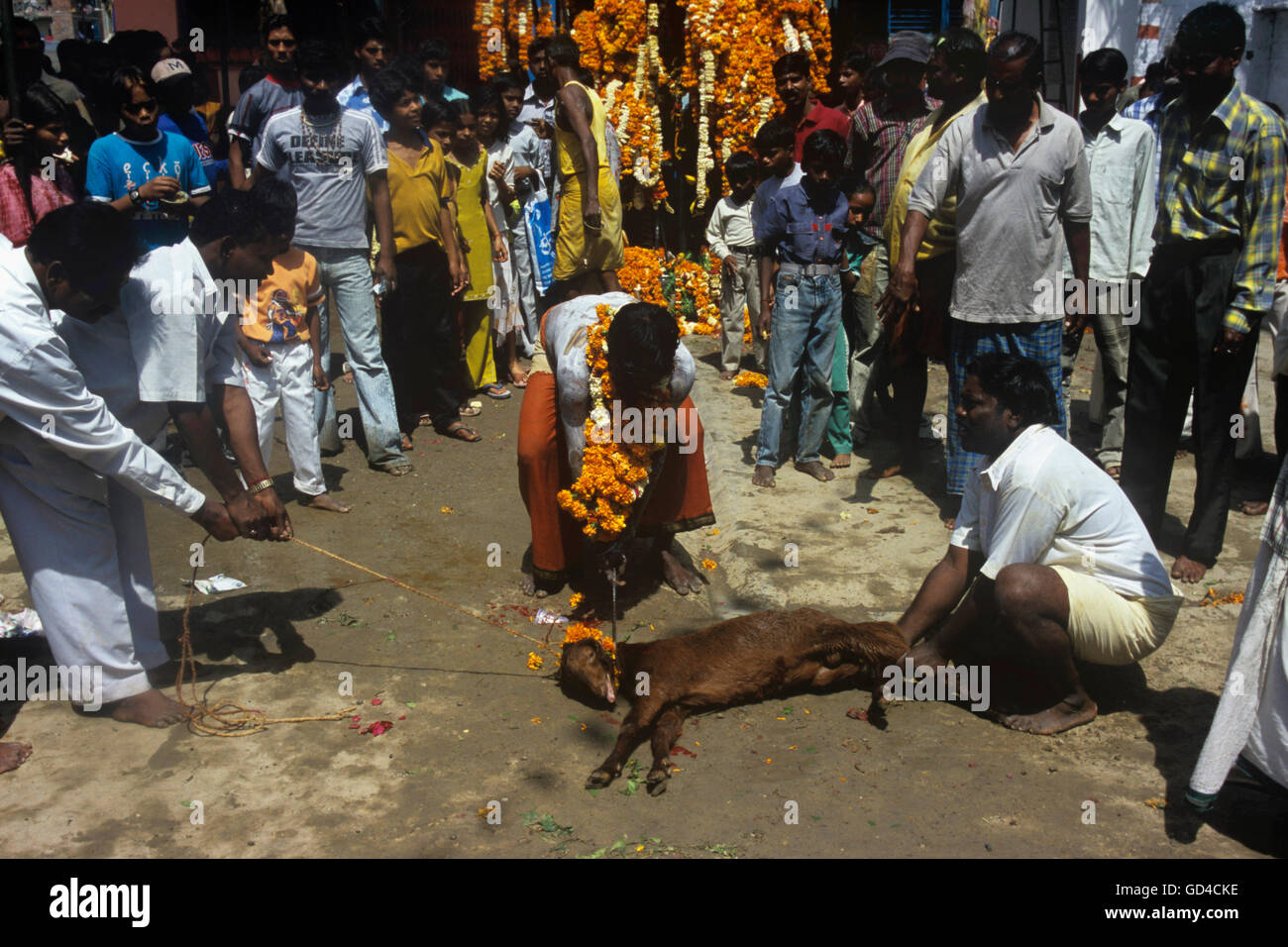 Sacrificing sacrifice hi-res stock photography and images - Alamy
