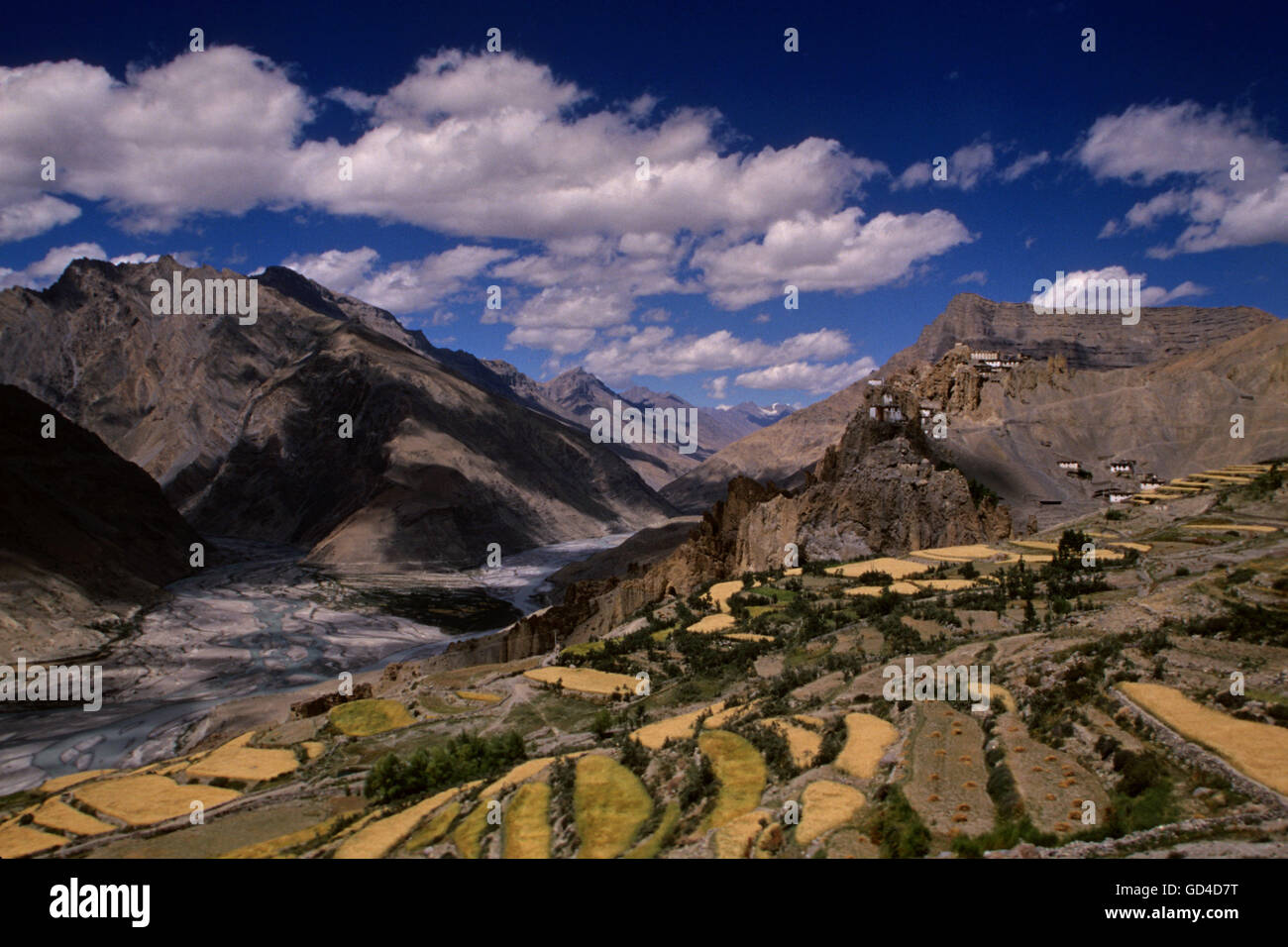 Step agriculture hi-res stock photography and images - Alamy