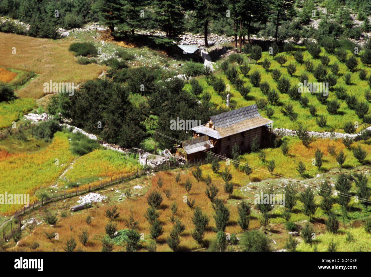 Kinnaur apple hi-res stock photography and images - Alamy