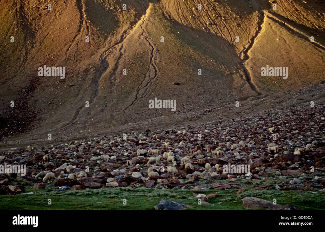 Light & shadow show Stock Photo - Alamy