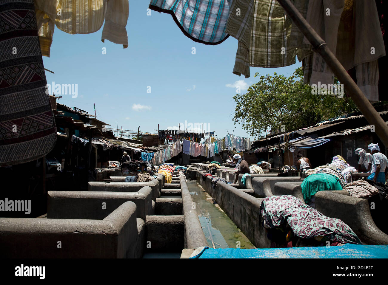 Indian washermen hi-res stock photography and images - Alamy