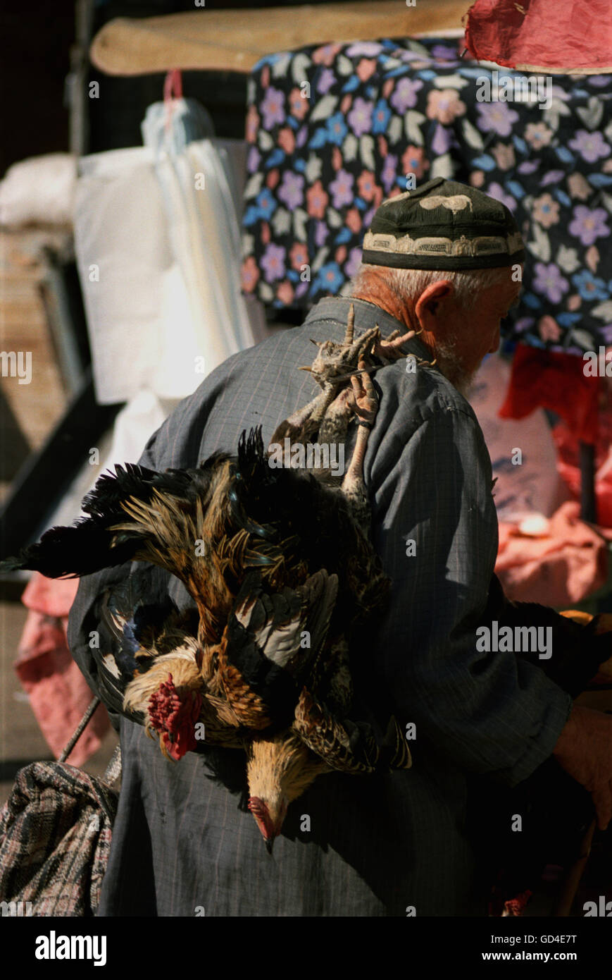 An old man with chicken Stock Photo - Alamy