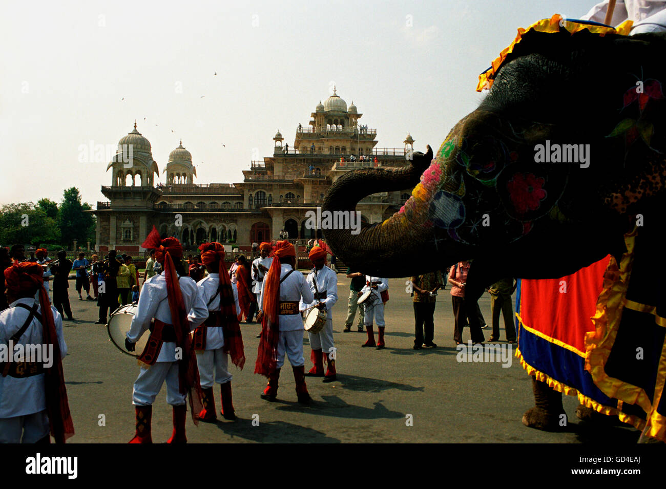 Parade of elephants Stock Photo - Alamy