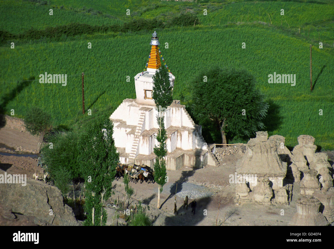 View of the White stupa Stock Photo - Alamy