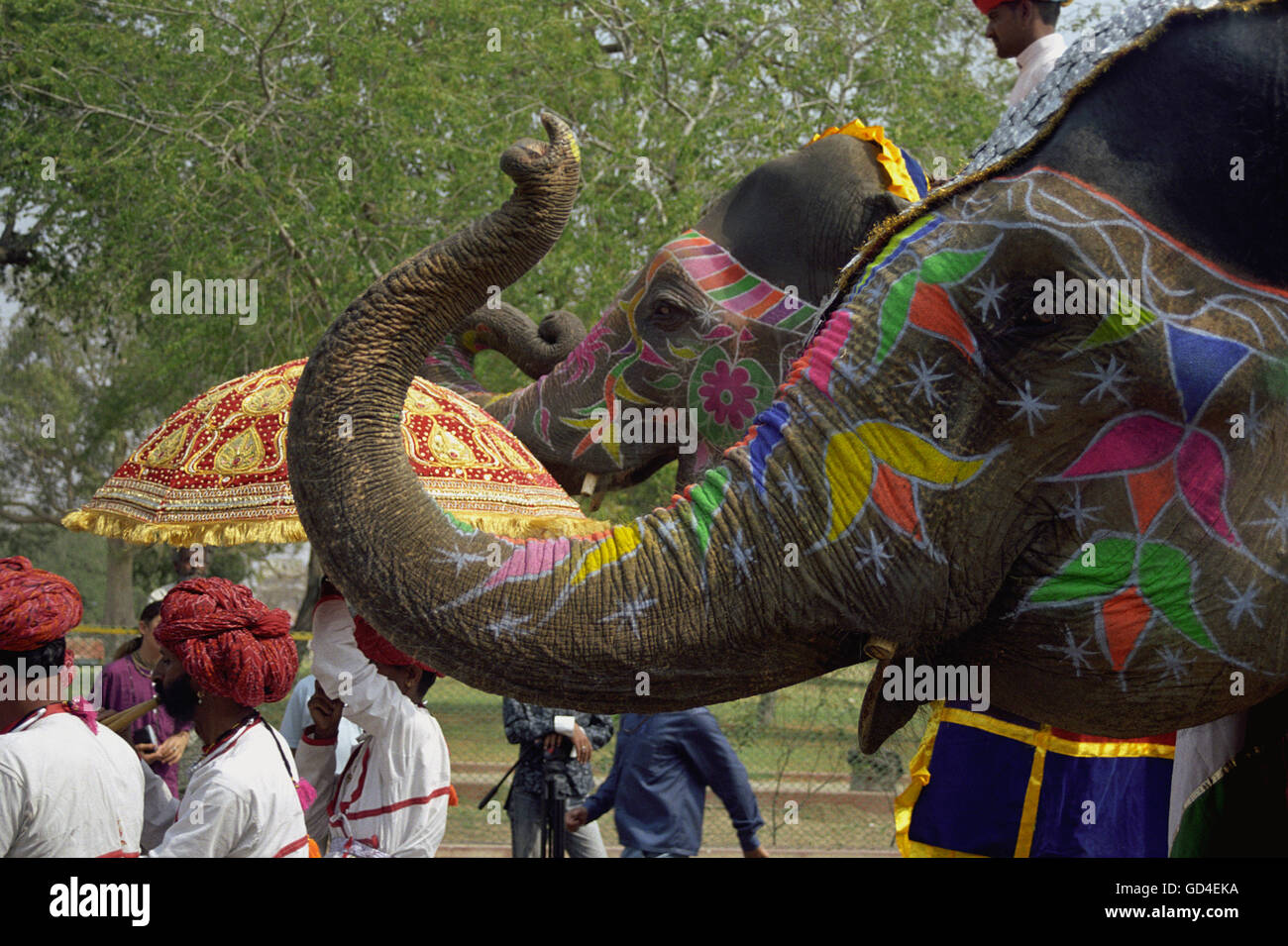 Elephant processions hi-res stock photography and images - Alamy