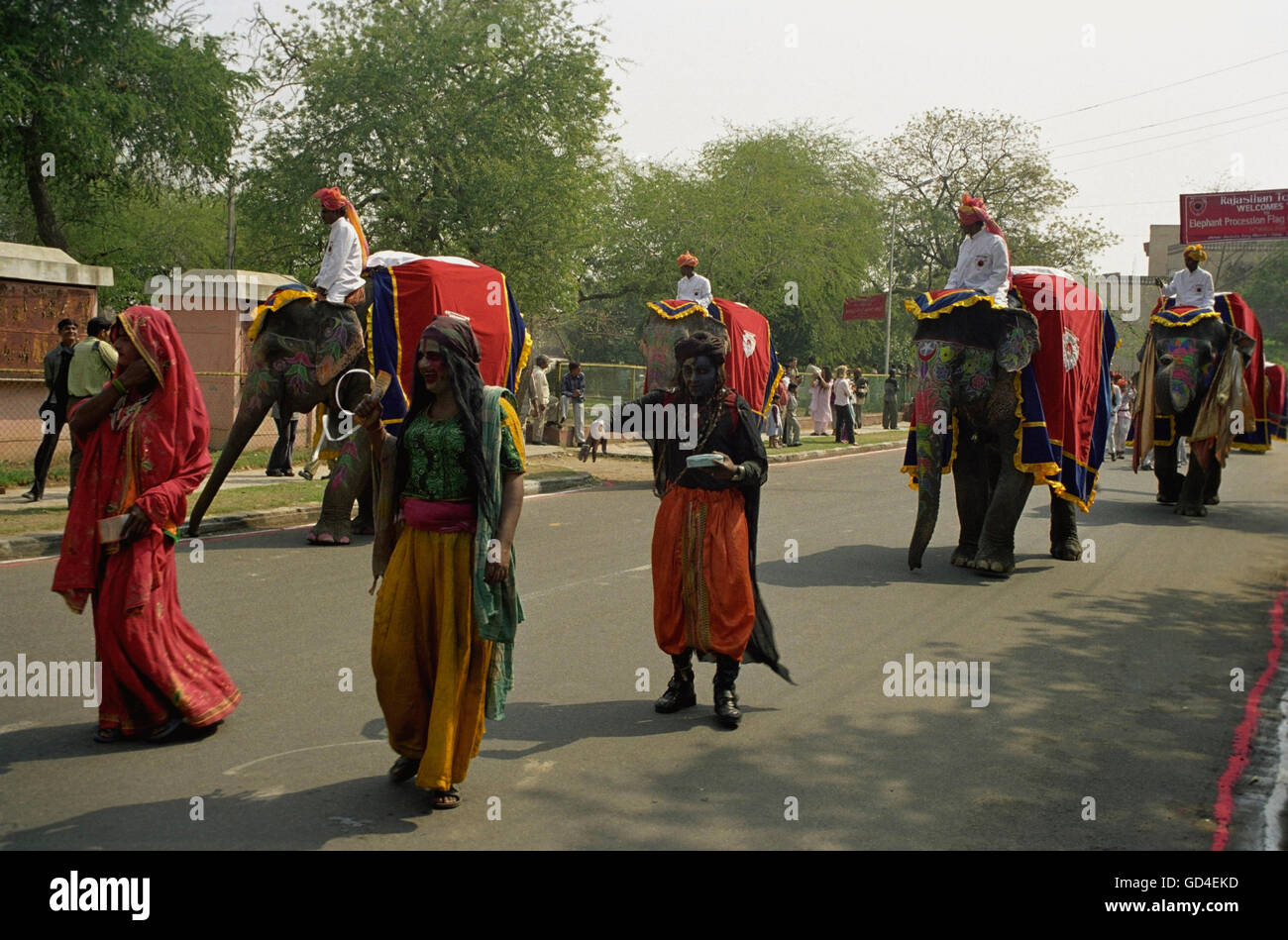 Elephant Processions High Resolution Stock Photography and Images - Alamy