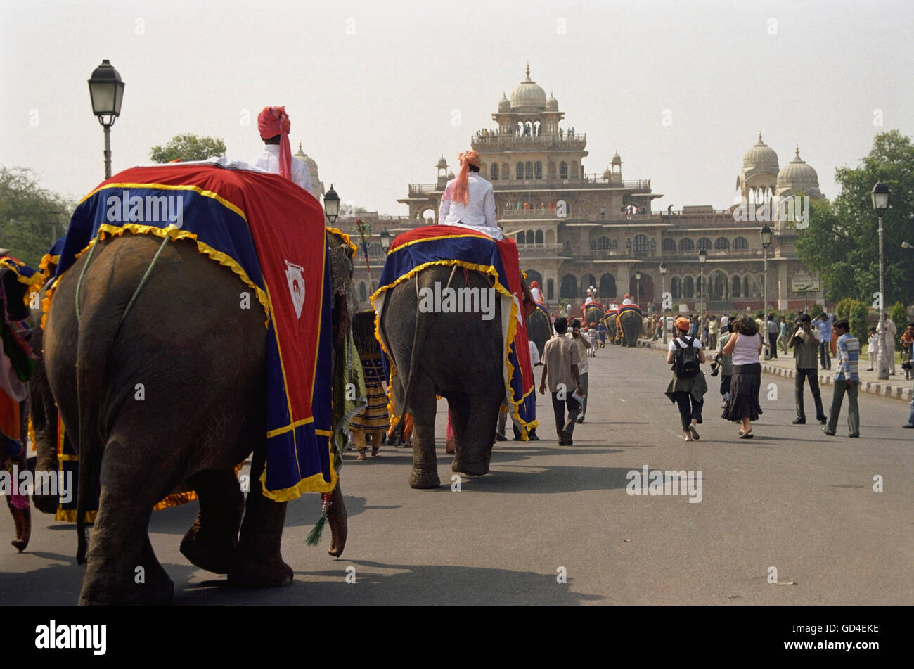 Elephant processions hi-res stock photography and images - Alamy