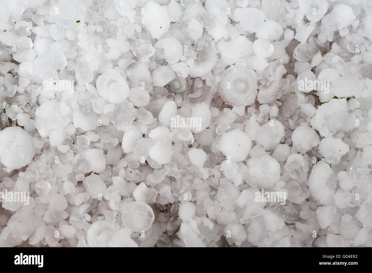 Hailstone hi-res stock photography and images - Alamy