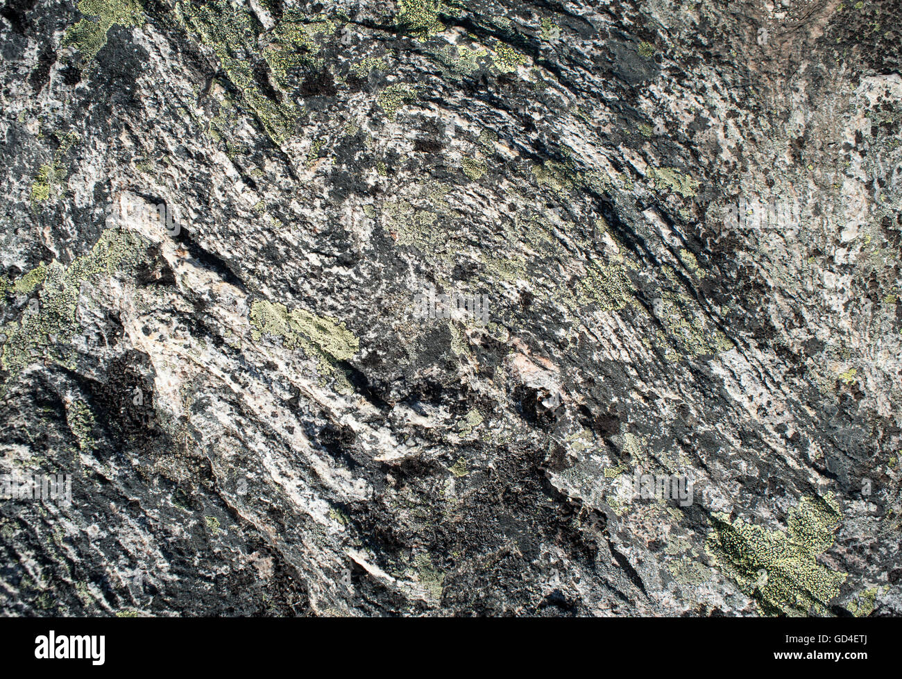 Rock textures (gneiss) hi-res stock photography and images - Alamy