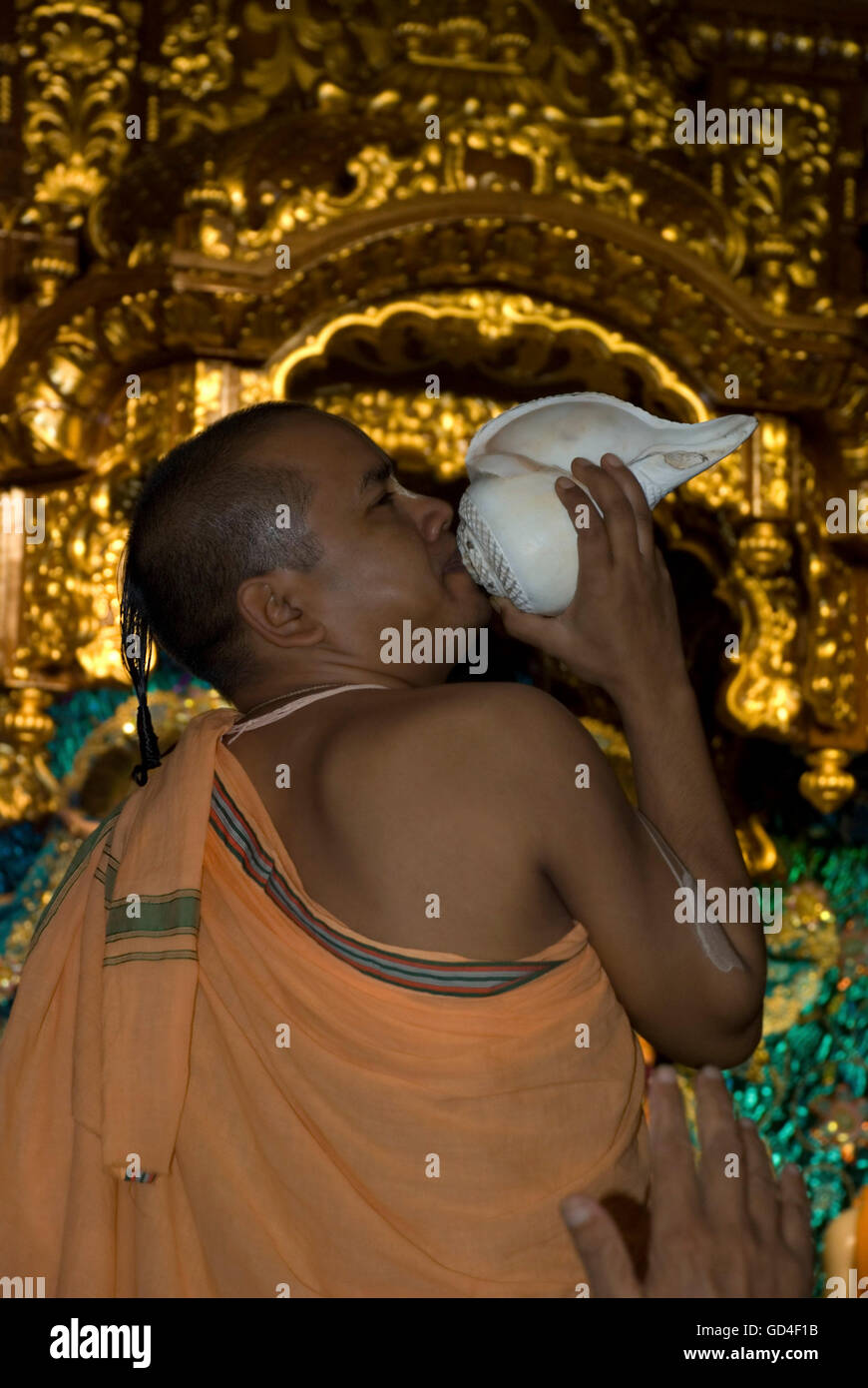 Conch shell india hi-res stock photography and images - Alamy