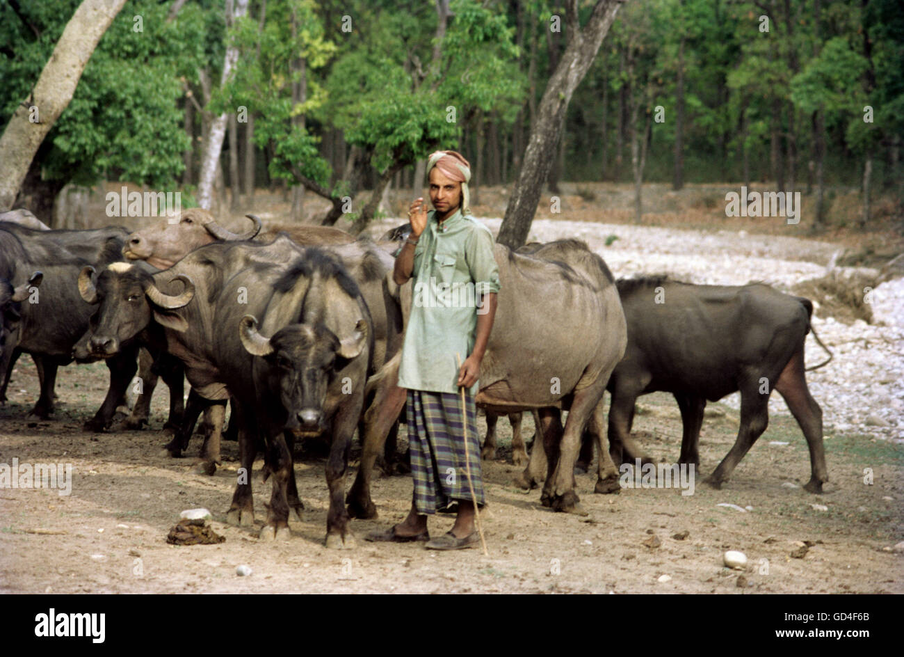 A gujjar man hi-res stock photography and images - Alamy