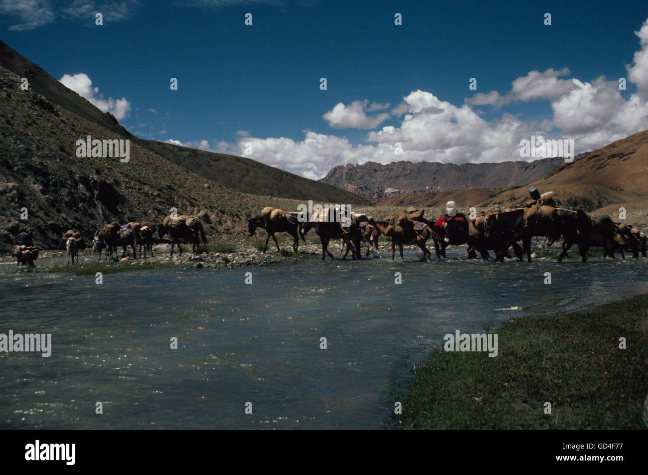 Crossing a stream Stock Photo - Alamy