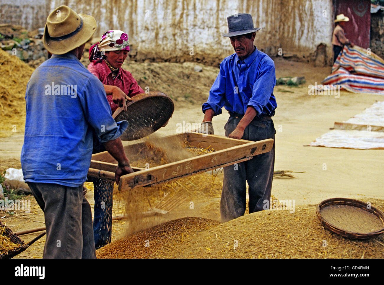 Hay threshing hi-res stock photography and images - Alamy