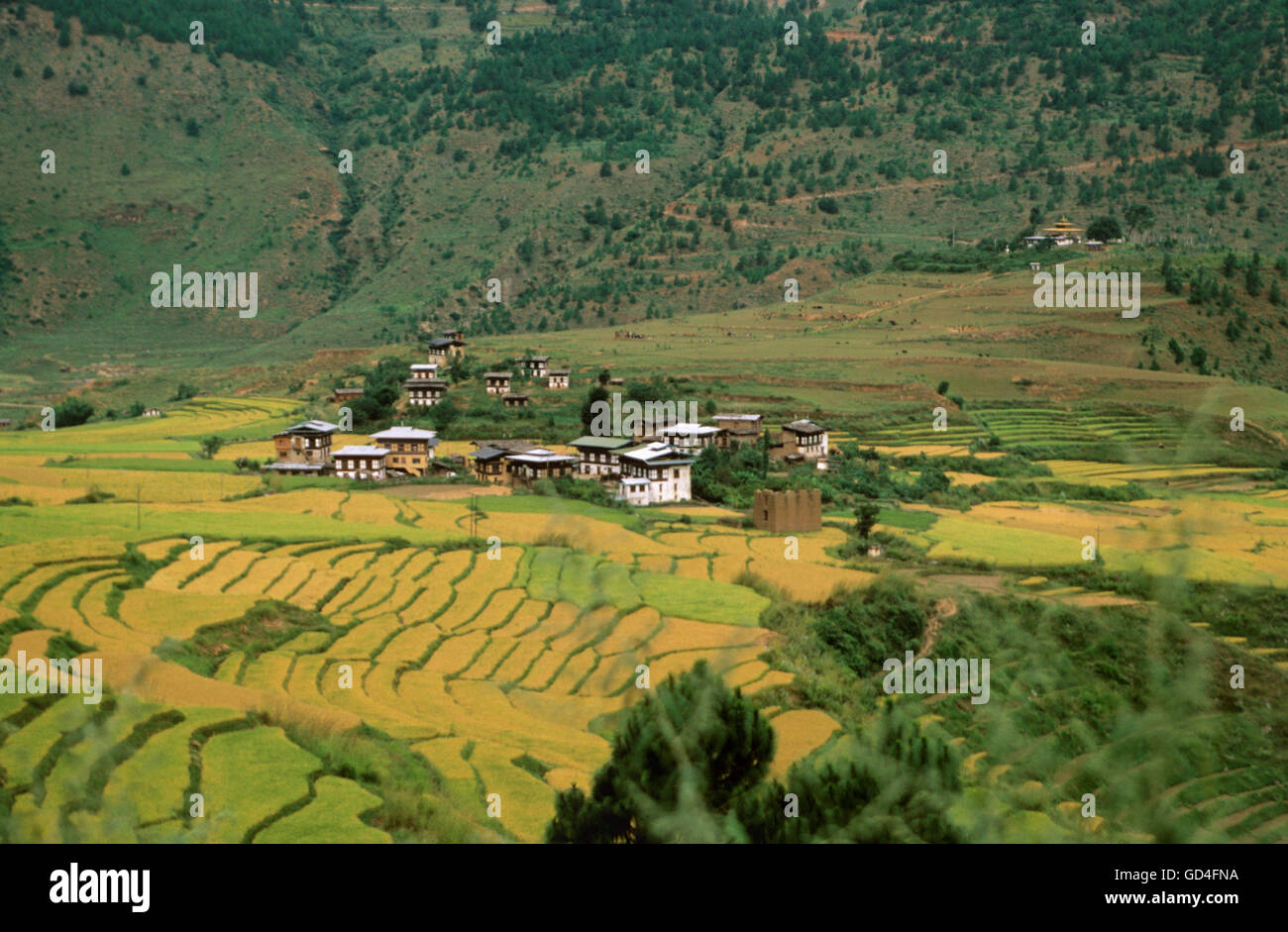 Paro valley farms hi-res stock photography and images - Alamy