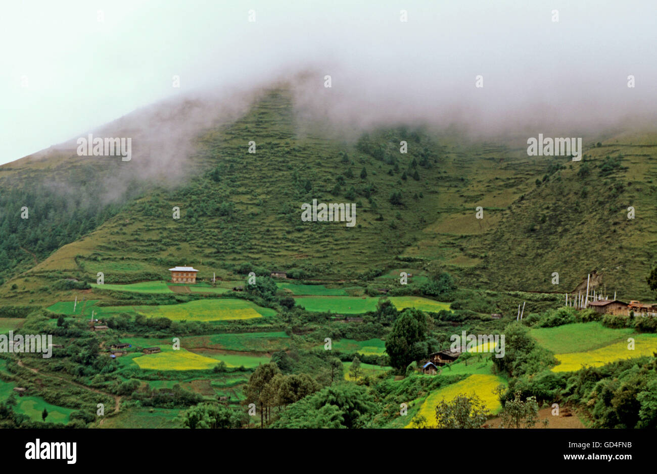 Paro valley farm hi-res stock photography and images - Alamy