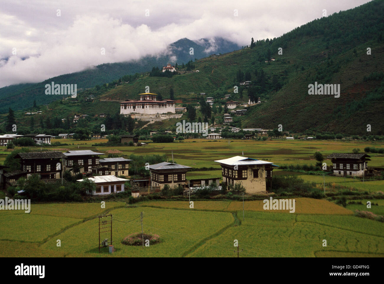 Paro valley farms hi-res stock photography and images - Alamy