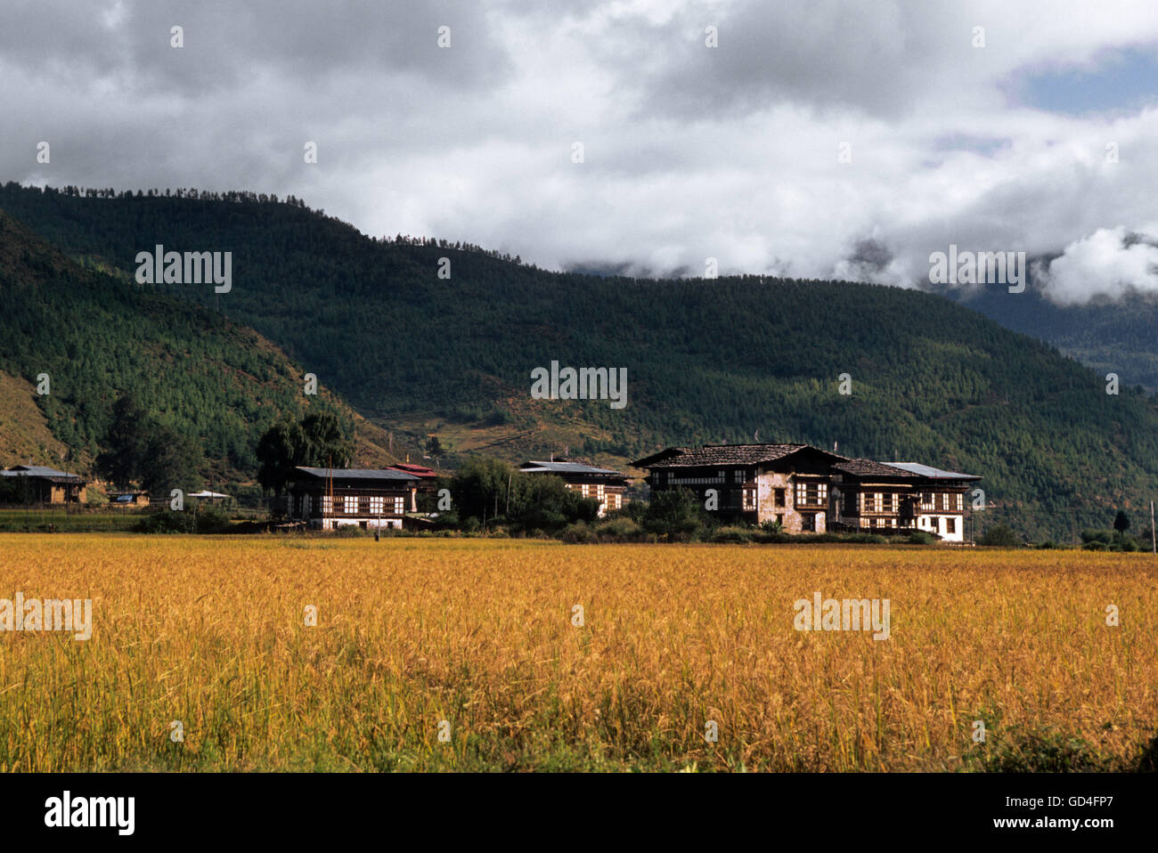 Paro valley farm hi-res stock photography and images - Alamy