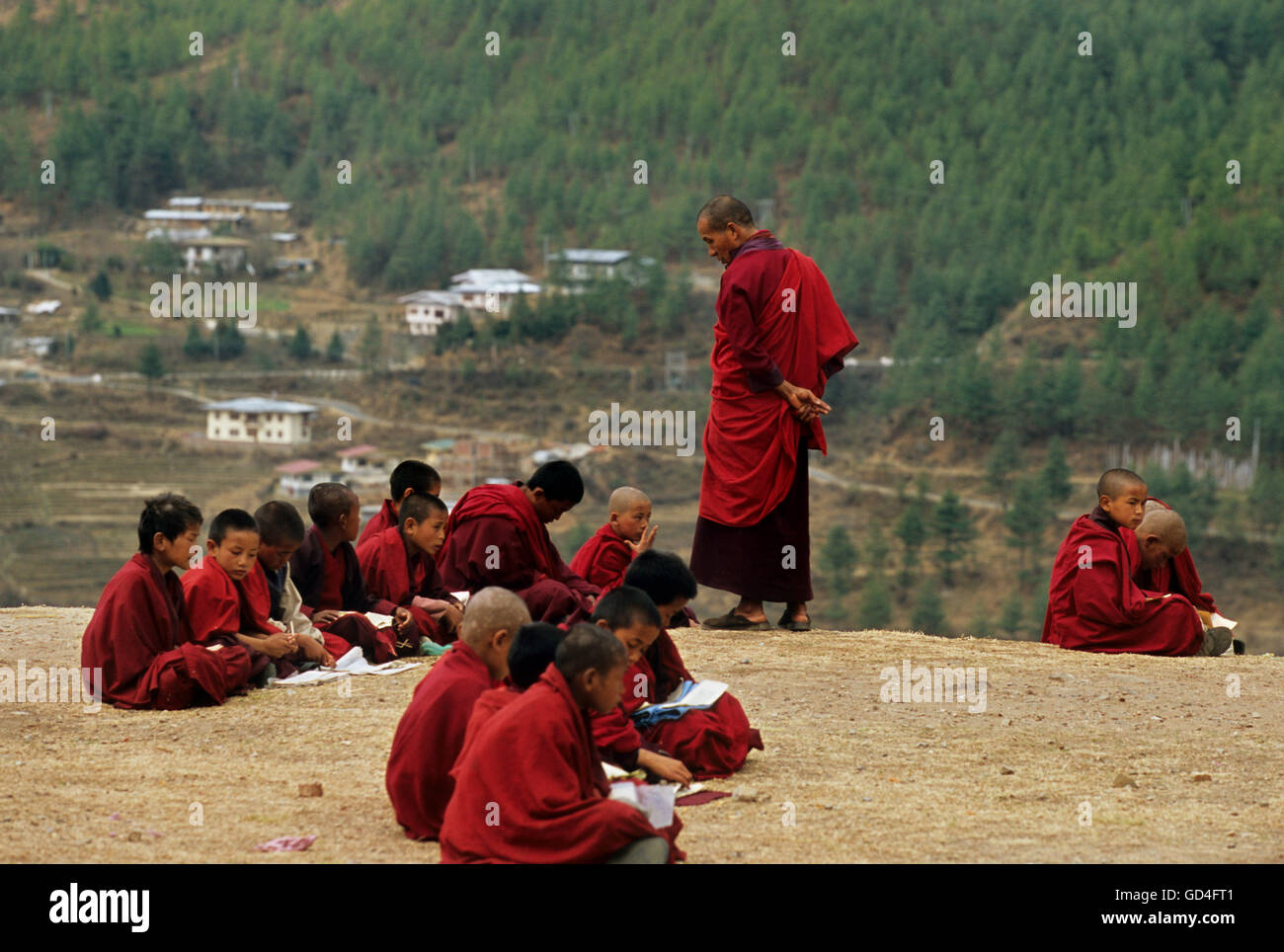 Child monks studying Stock Photo - Alamy