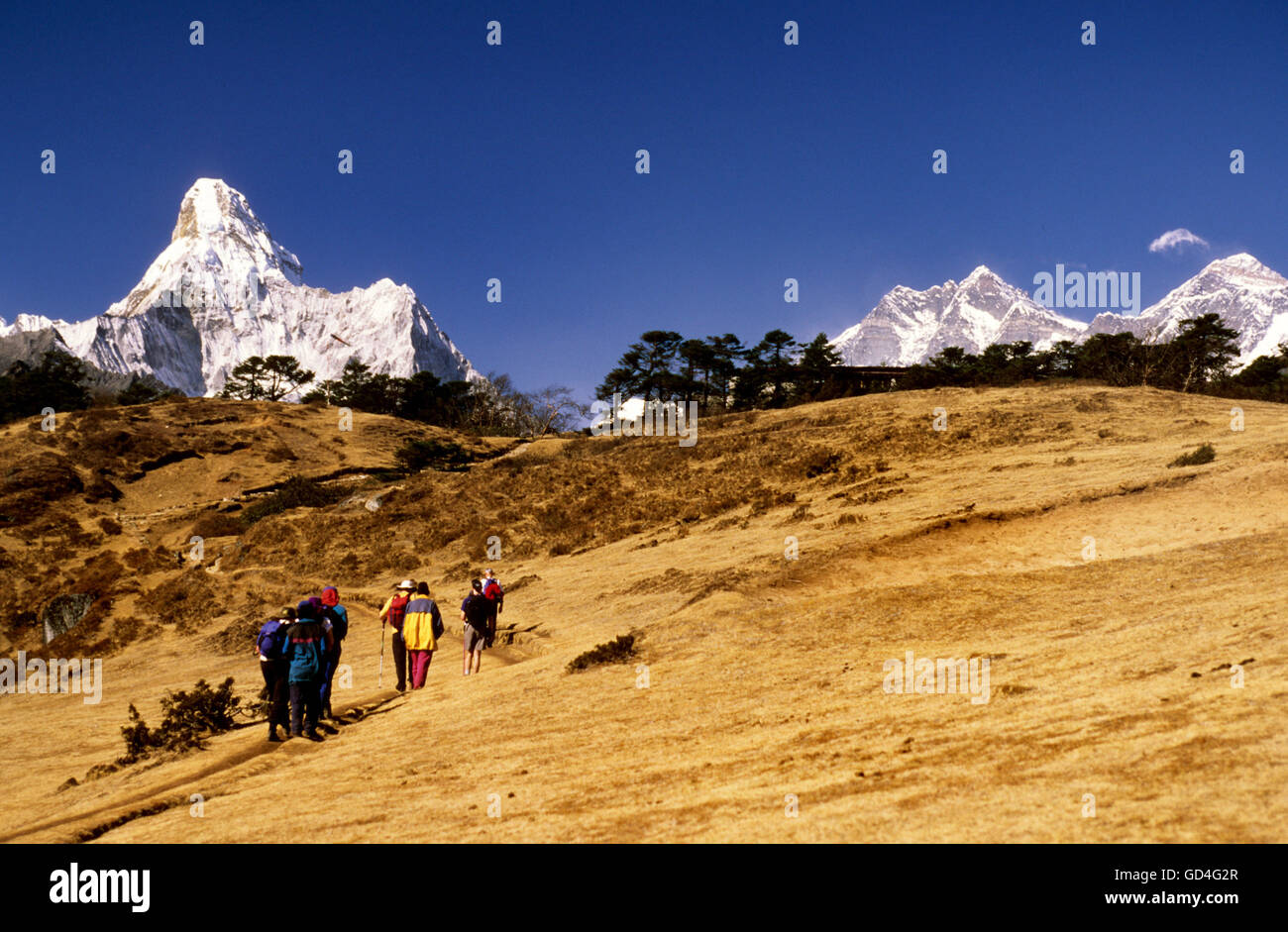 Hilly region of nepal hi-res stock photography and images - Alamy