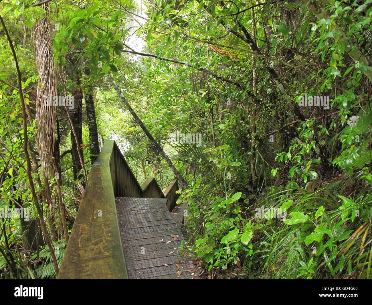 Walking track stairs hi-res stock photography and images - Alamy