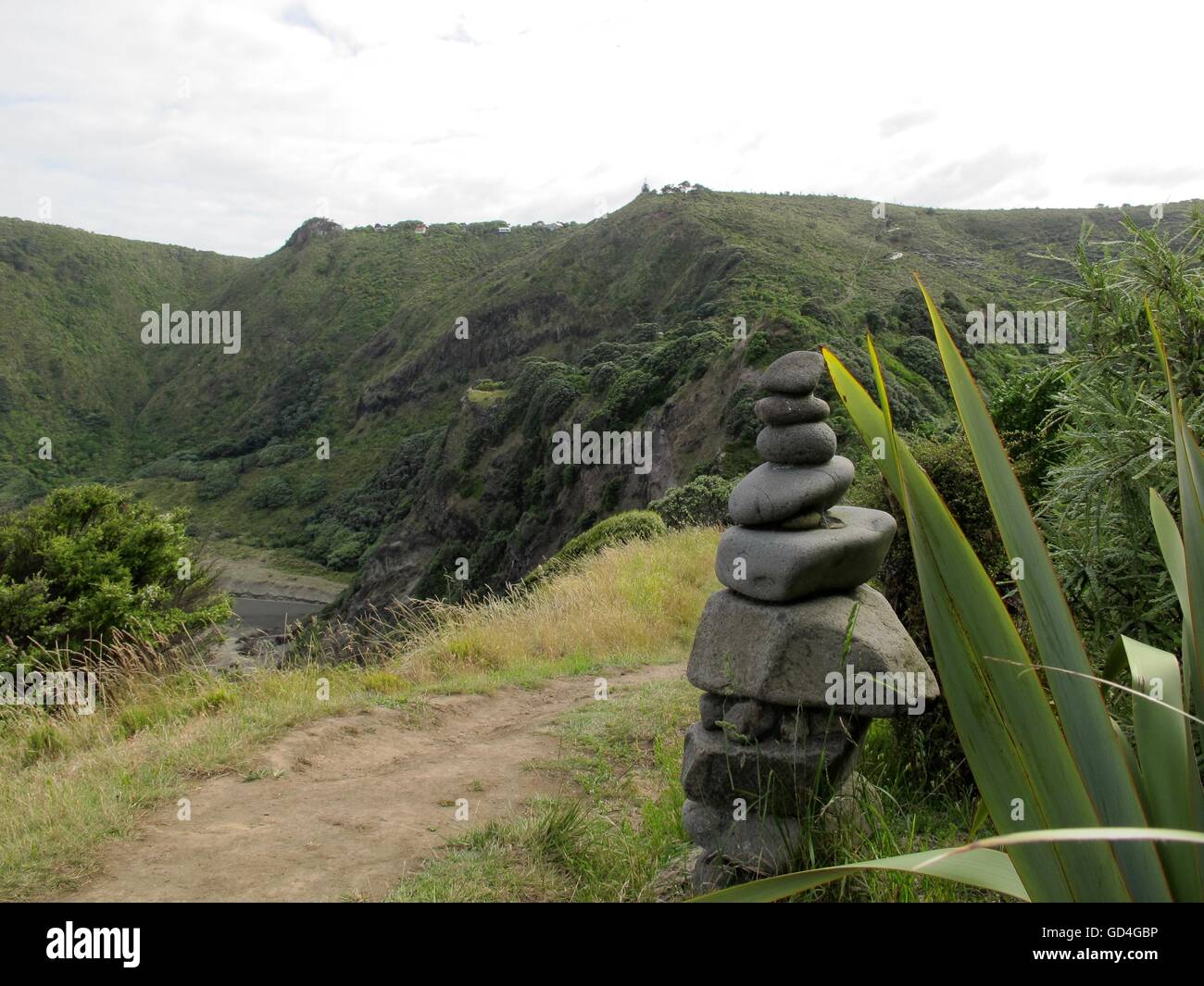 New Zealand Bush walk Stock Photo - Alamy