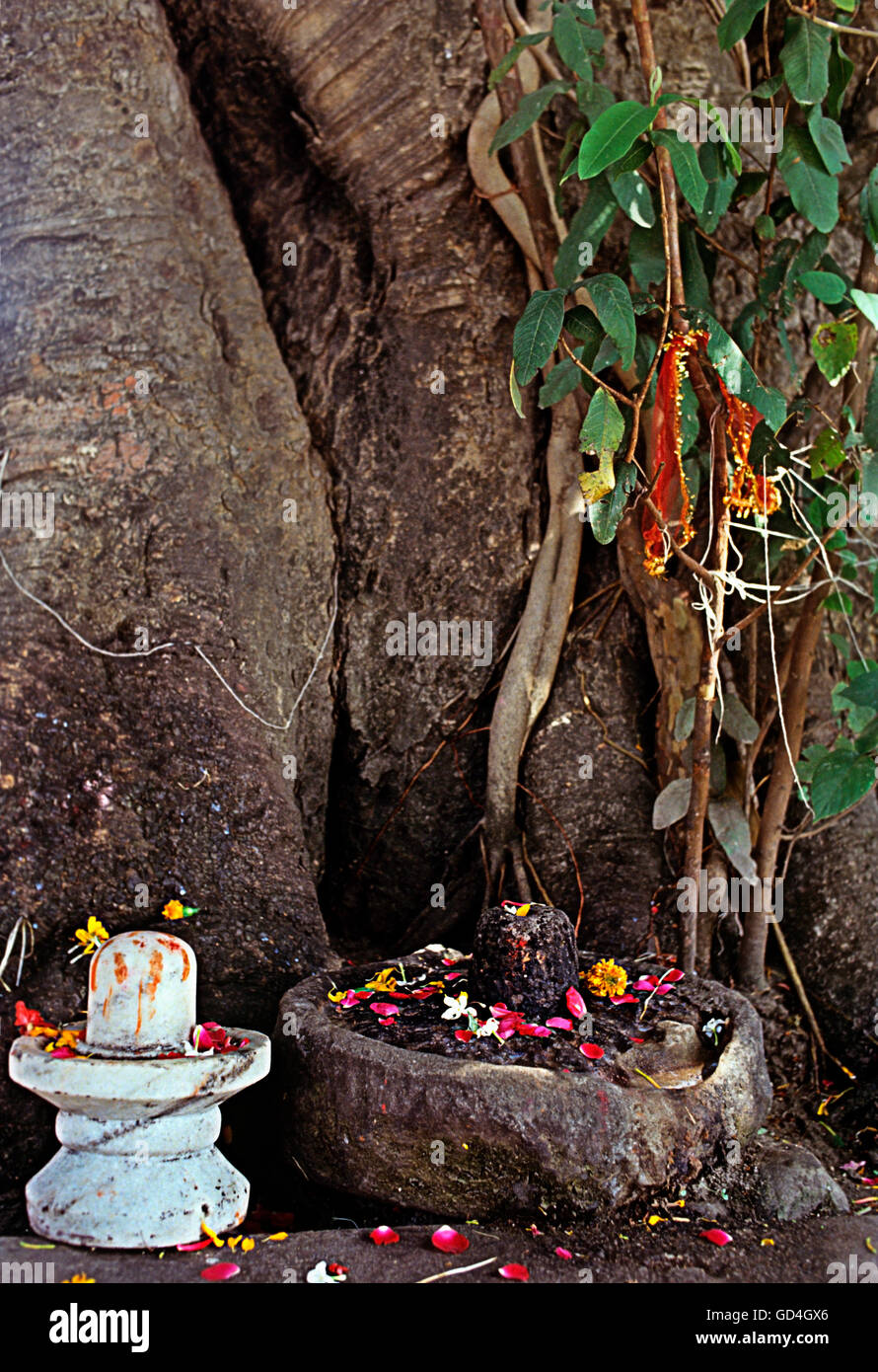 Shivlinga hi-res stock photography and images - Alamy