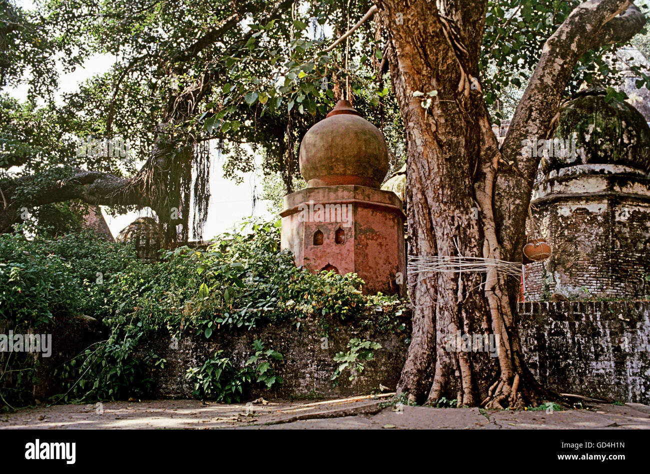 Sati ritual hi-res stock photography and images - Alamy