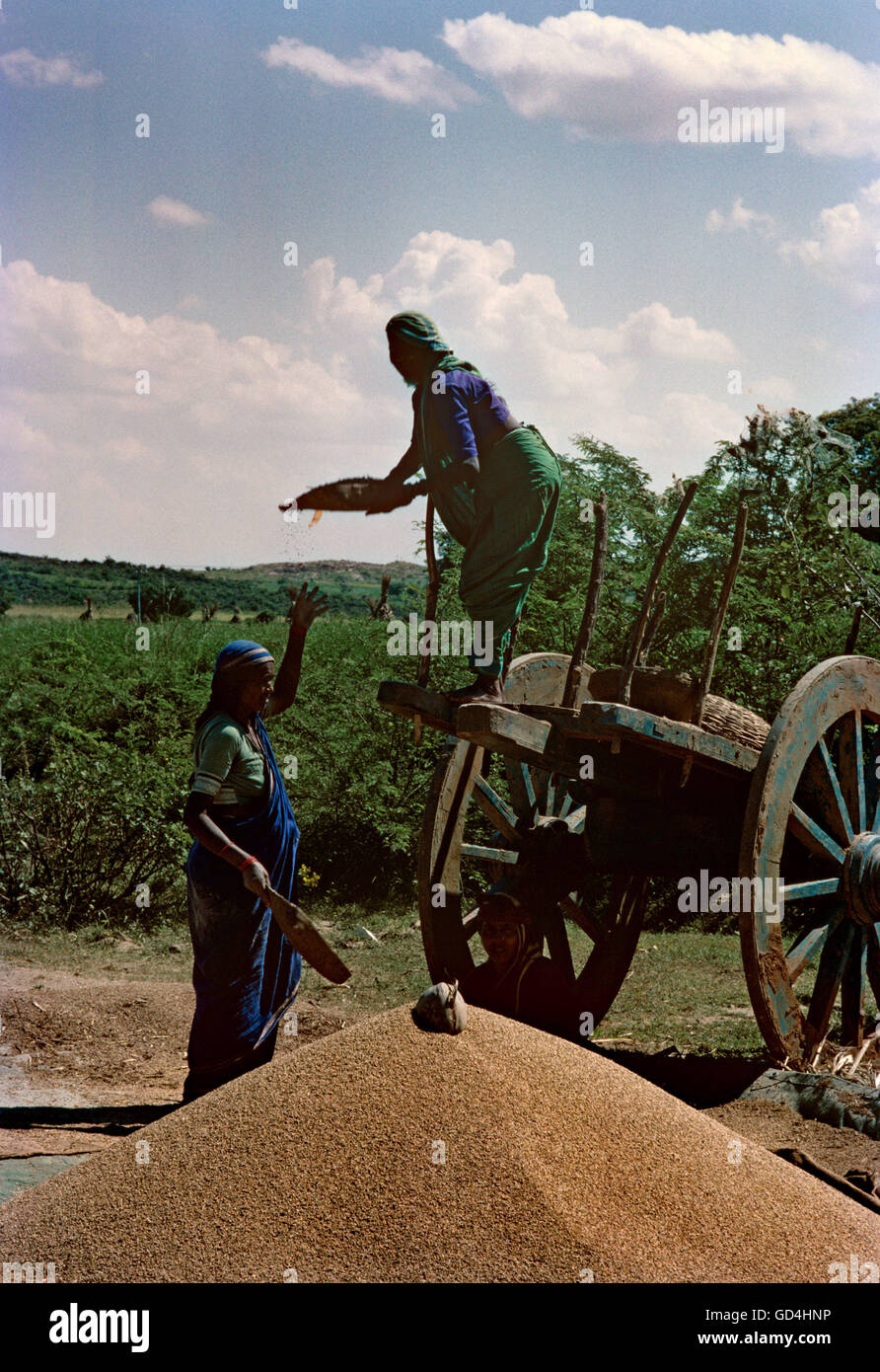 Women threshing hi-res stock photography and images - Alamy