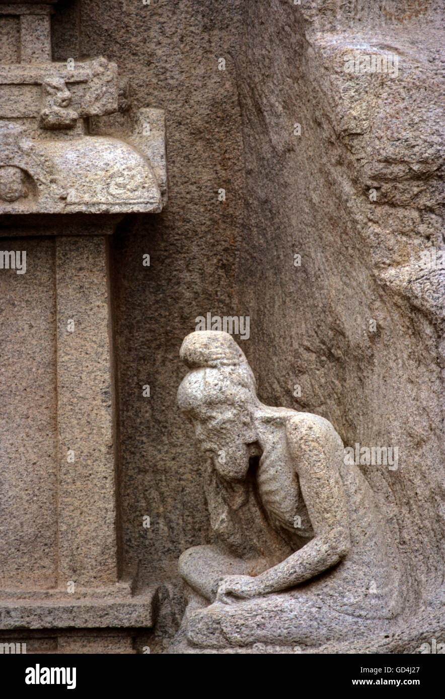 Sage india hi-res stock photography and images - Alamy