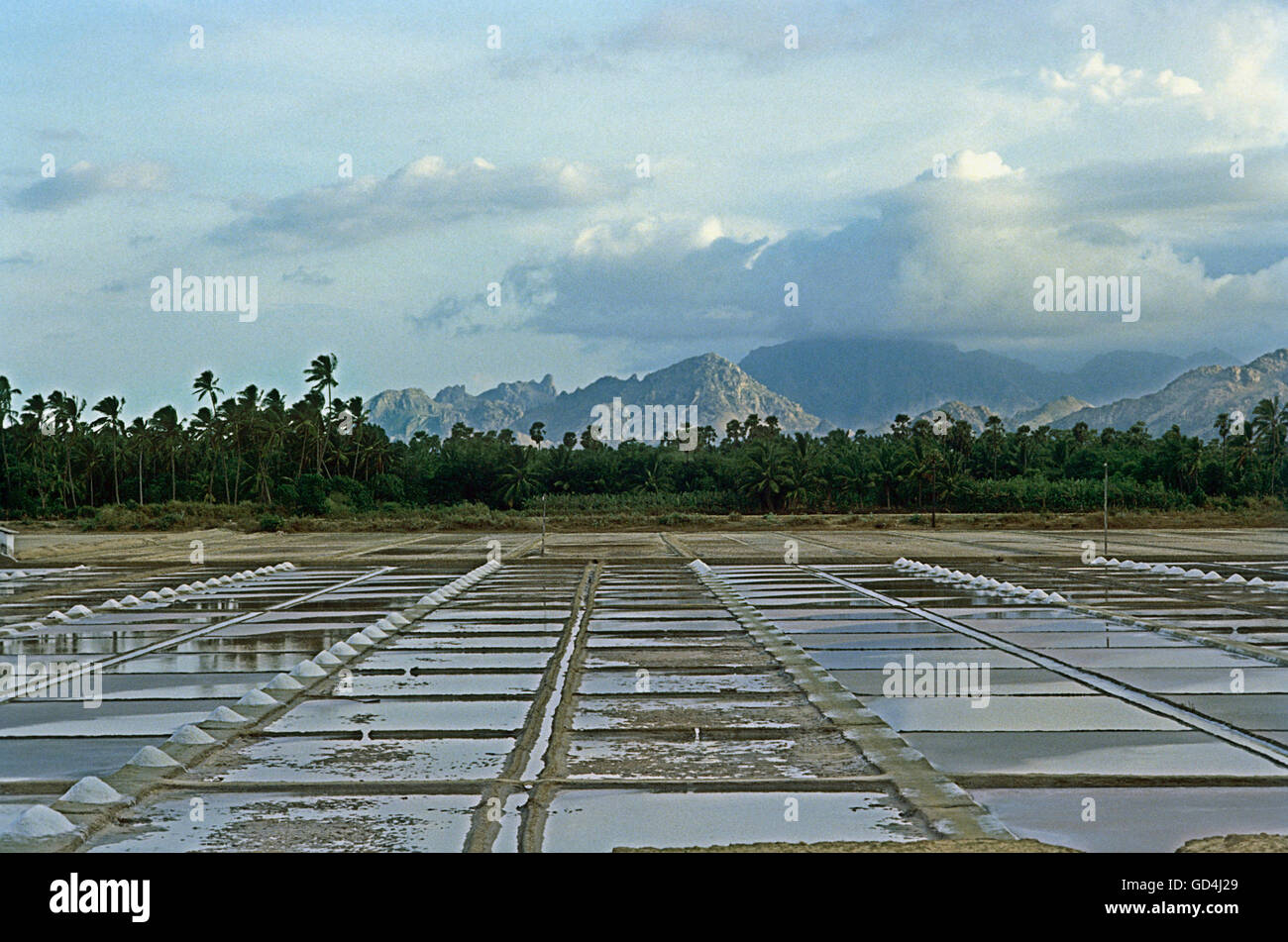 Salt pans india hi-res stock photography and images - Alamy